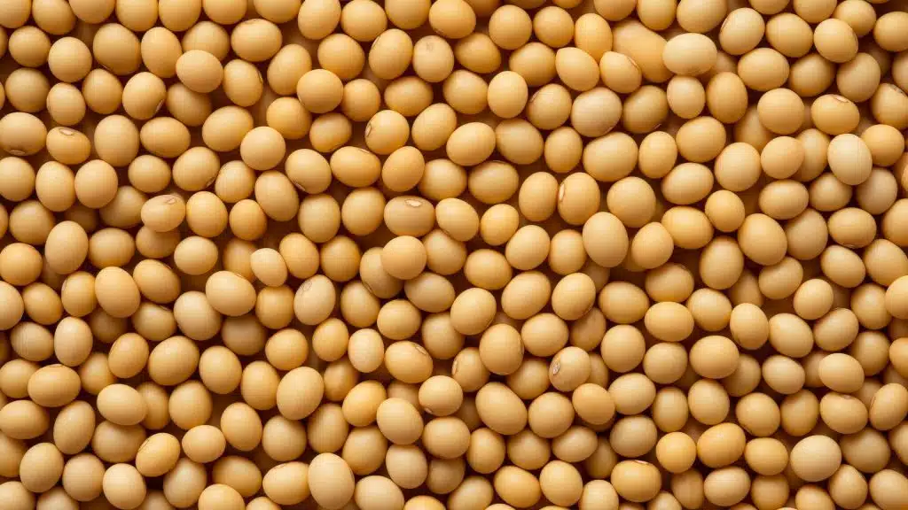 Blog & Articles - Stay Informed About Fertility and Men's Health